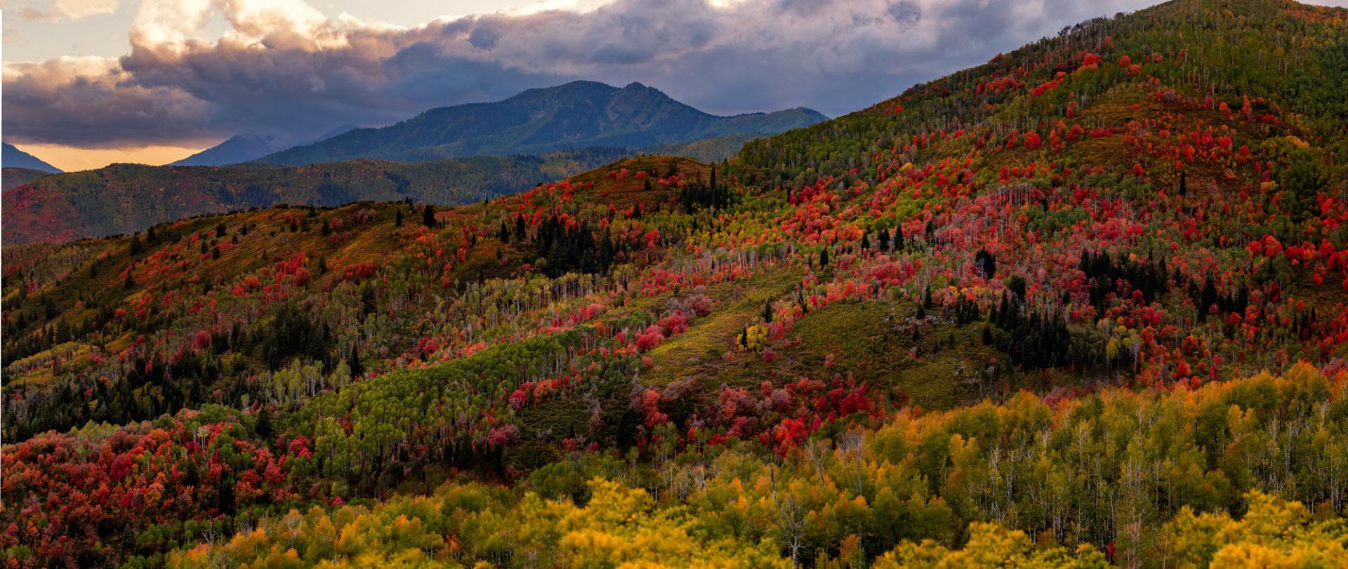 Fall colors – Grace Chapel Heber